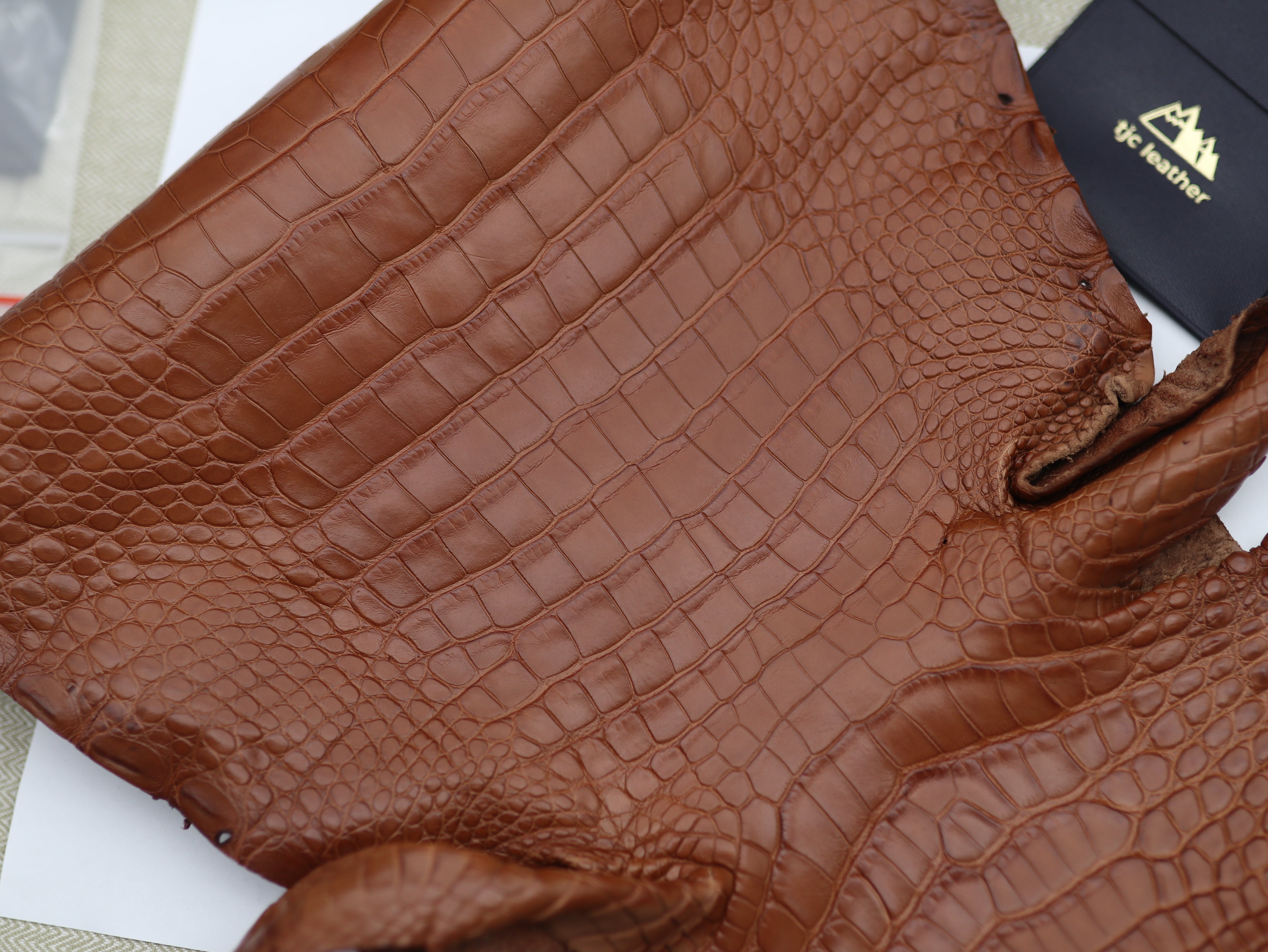 Genuine Cognac Alligator Skin – Tjcleather