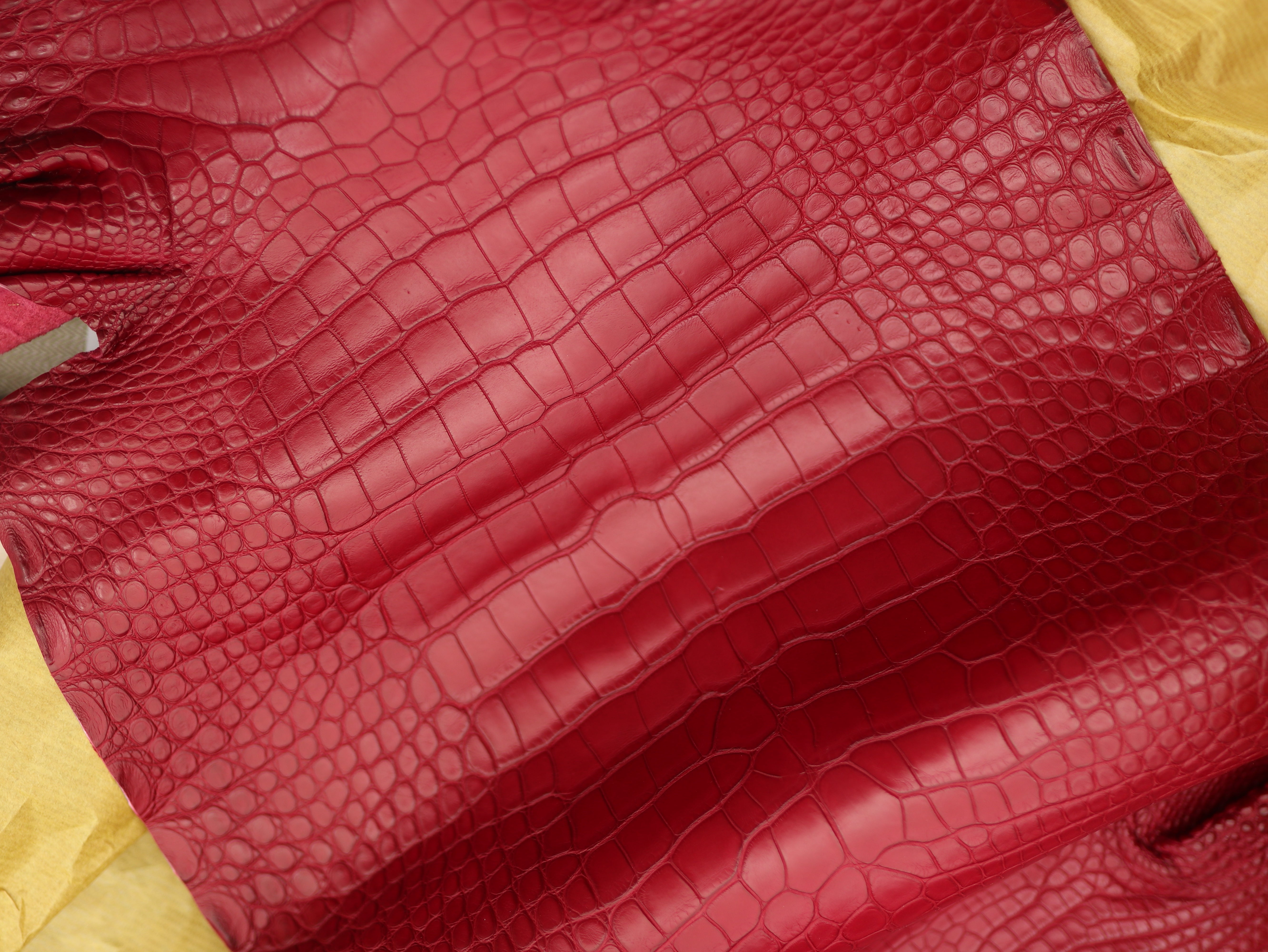 Genuine Red Alligator Skin – Tjcleather